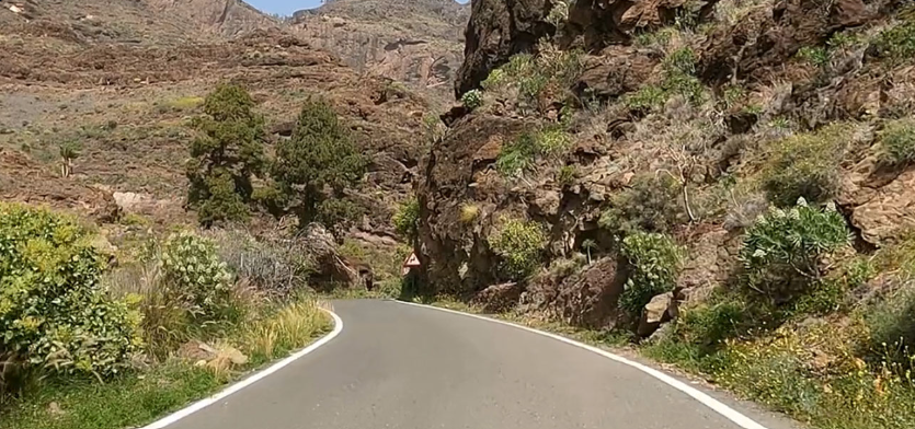 CYCLING THE TAURO PASS IN GRAN CANARIA | ROUVY