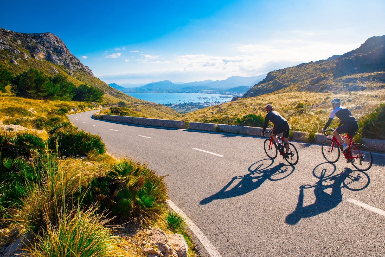 Endurance Road Bikes 2026: Comfort for Long Rides | ROUVY