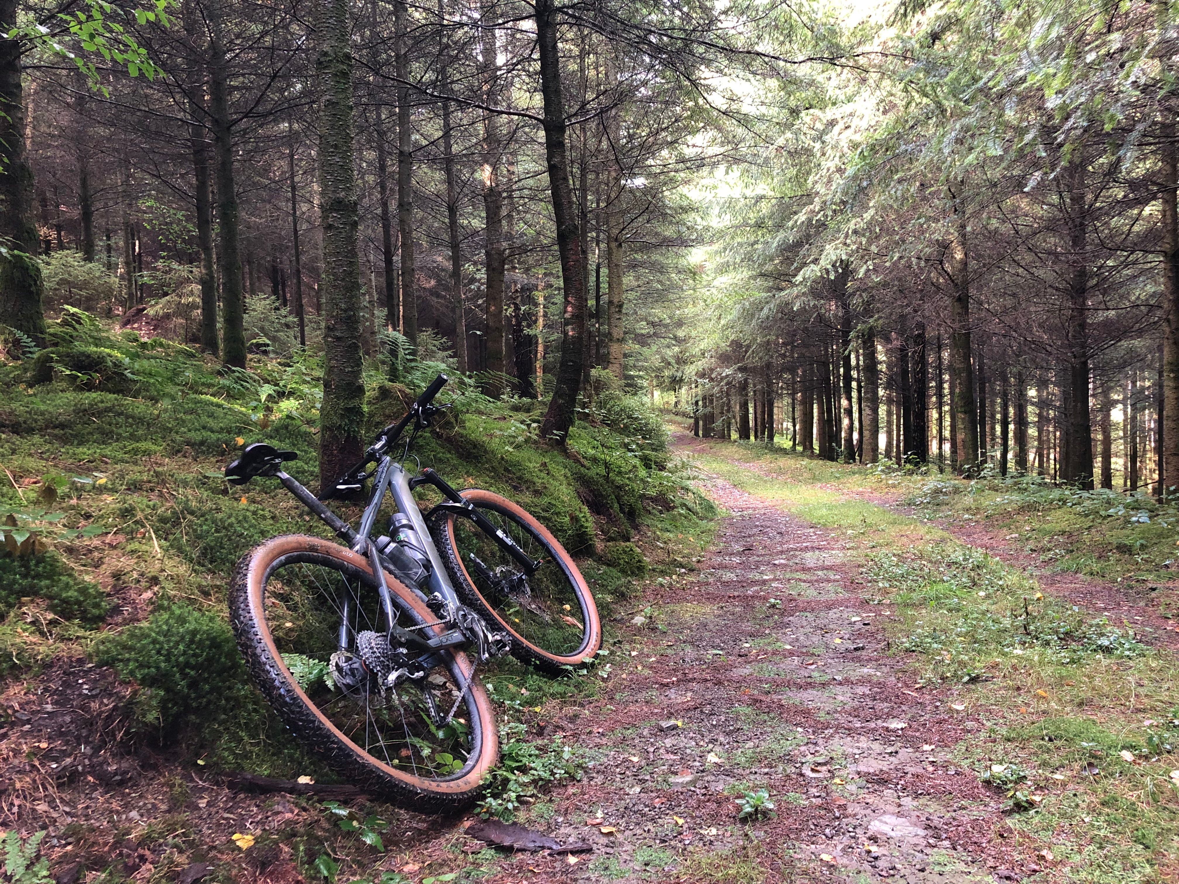 Best Belgium Cycling Routes: Iconic Rides & Hidden Gems | ROUVY
